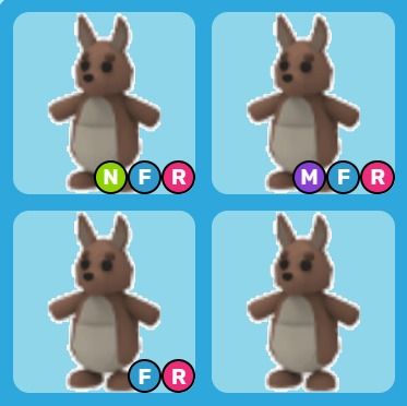 Roblox Adopt Me Kangaroo (NFR, MFR , FR , Normal), Video Gaming, Gaming ...
