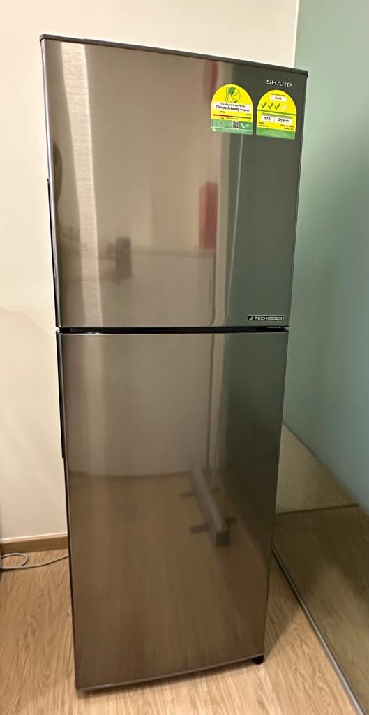 Sharp Refrigerator SJ-RX30E-SL2 224L, TV & Home Appliances, Kitchen ...