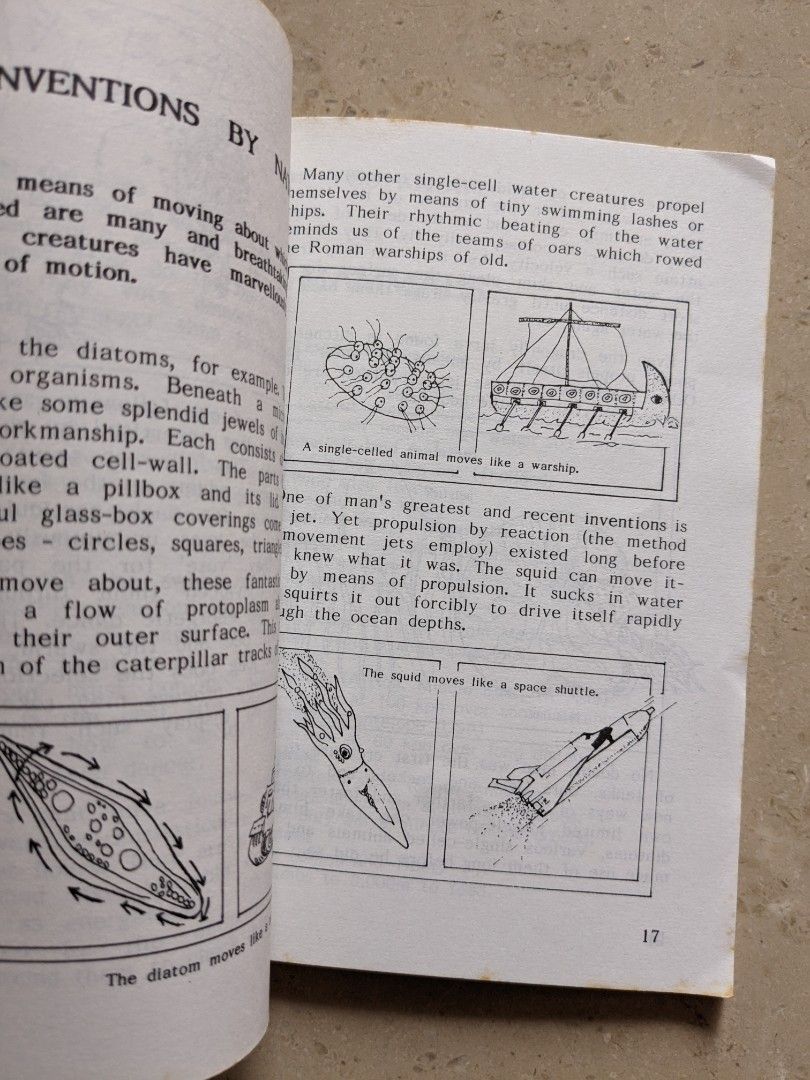 The amazing world of nature by Noah Lim, Hobbies & Toys, Books ...