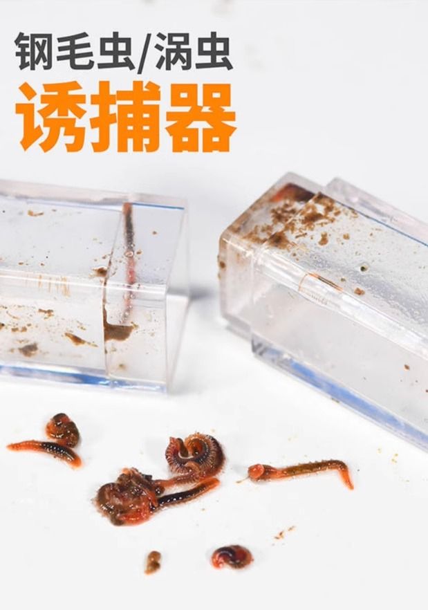 Vastocean Bristle-worm, Bad-worm & Pest Trap For Marine, Reef ...