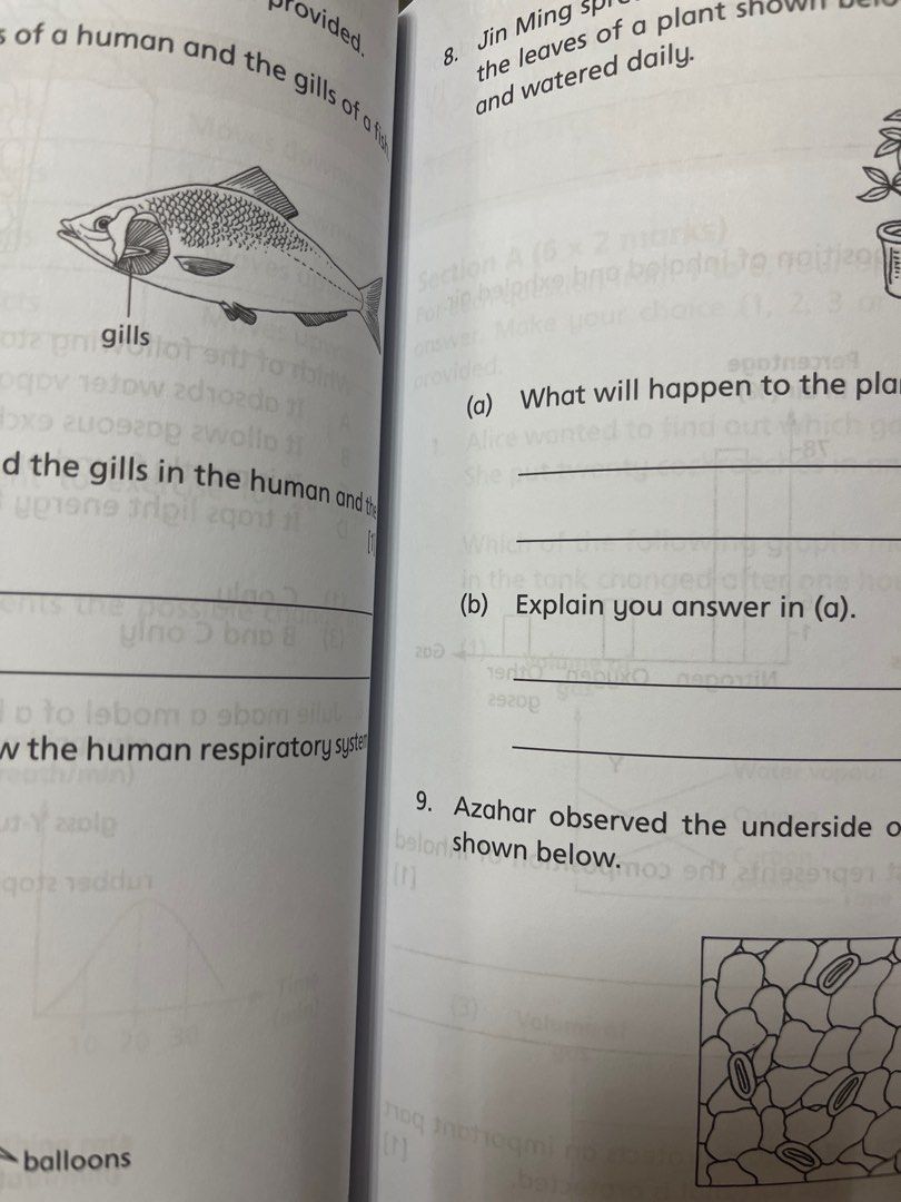 P5 SCIENCE TOPICAL - primary 5 upper pri assessment book, test exam ...