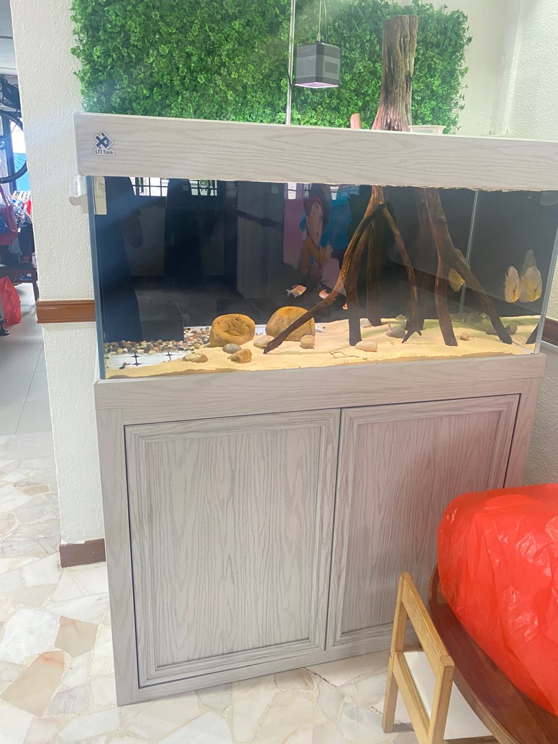 4x2x2 (422) L77 sump tank, Pet Supplies, Homes & Other Pet Accessories ...
