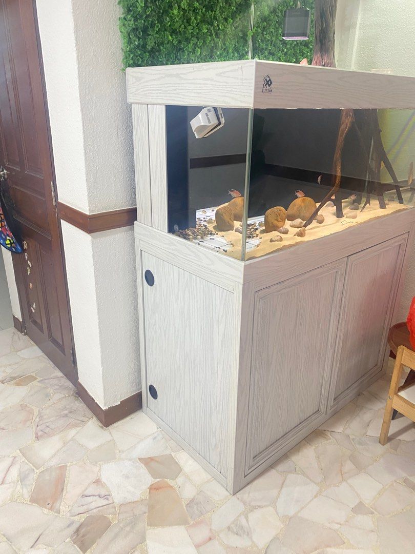 4x2x2 (422) L77 sump tank, Pet Supplies, Homes & Other Pet Accessories ...
