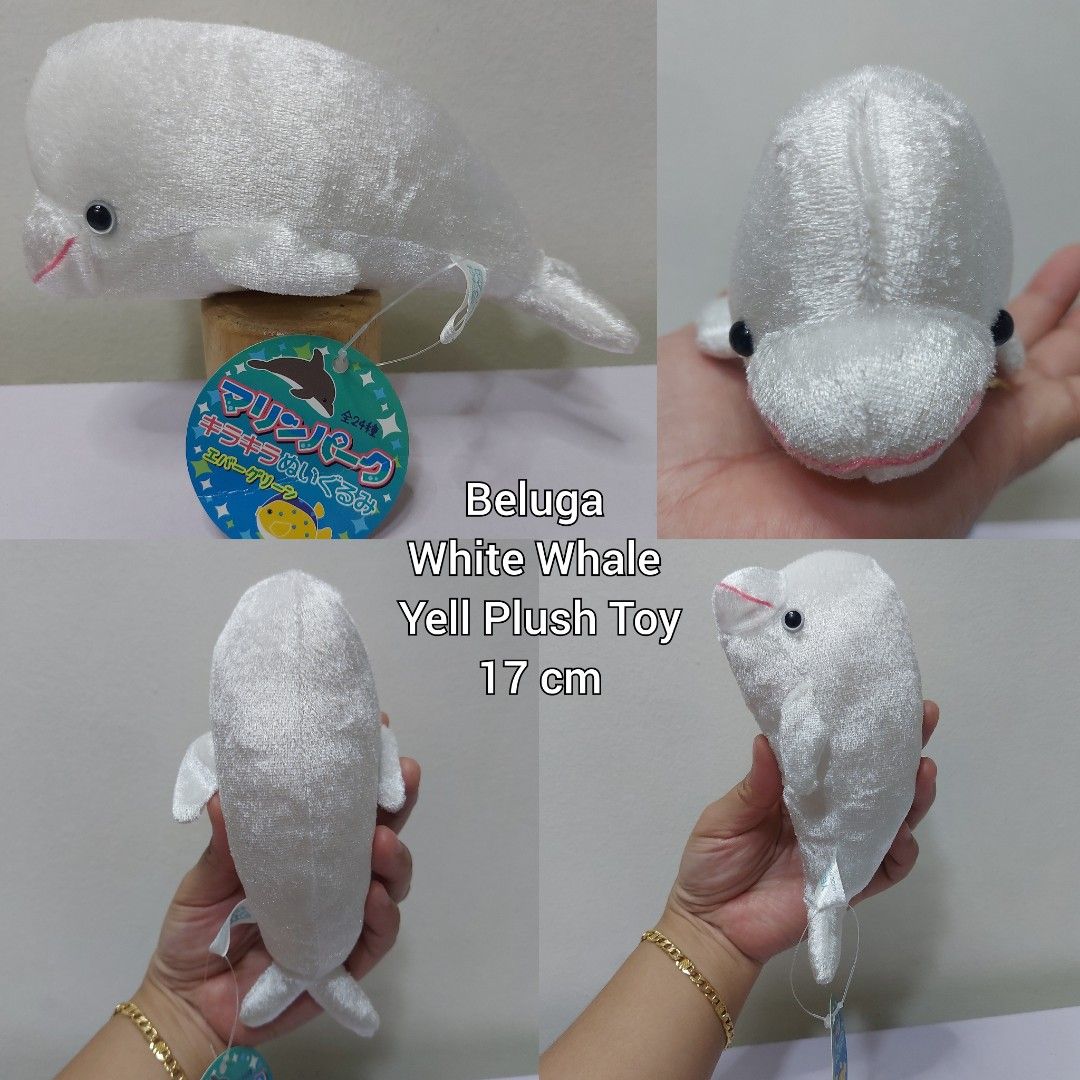Beluga White Whale Yell Plush Toy / Stuffed Toy, Hobbies & Toys, Toys ...