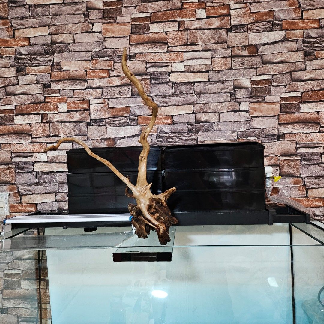 Complete Set 90cm 3FT Aquarium Tank with filter, pump and light, Pet ...