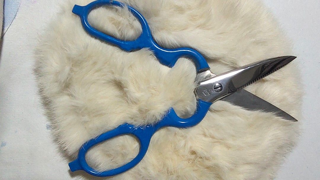 Friodur Inox Germany Scissors, Furniture & Home Living, Kitchenware ...