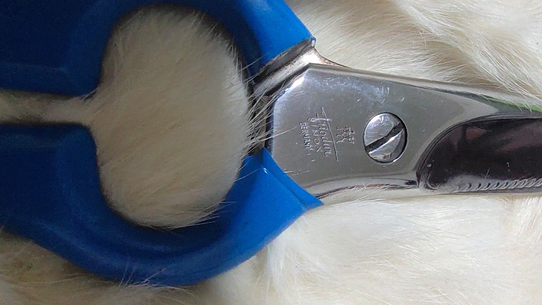 Friodur Inox Germany Scissors, Furniture & Home Living, Kitchenware ...