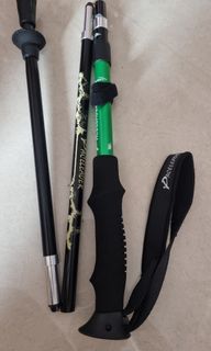 Decathlon| FORCLAZ MT100 Hiking Pole in blue, Sports Equipment, Hiking ...