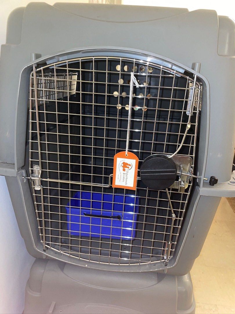Petmate Sky Kennel with Vault Lock, Pet Supplies, Homes & Other Pet ...