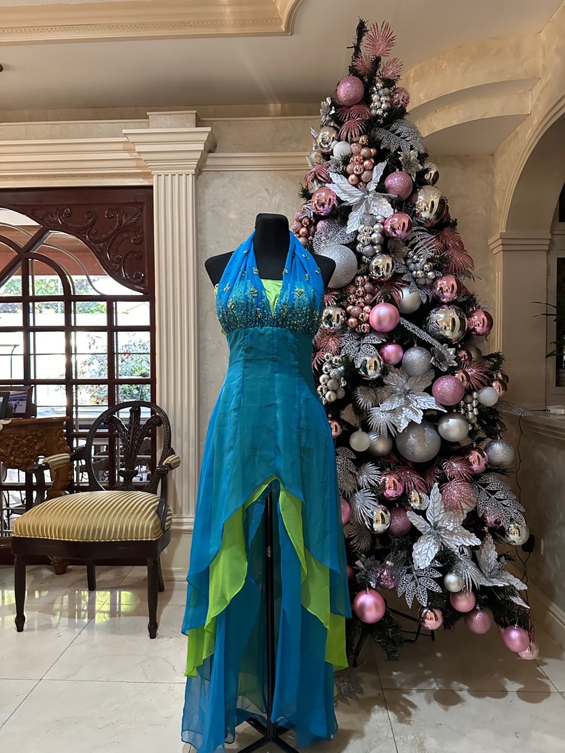 Pre loved Prom Gown Small, Women's Fashion, Dresses & Sets, Evening ...