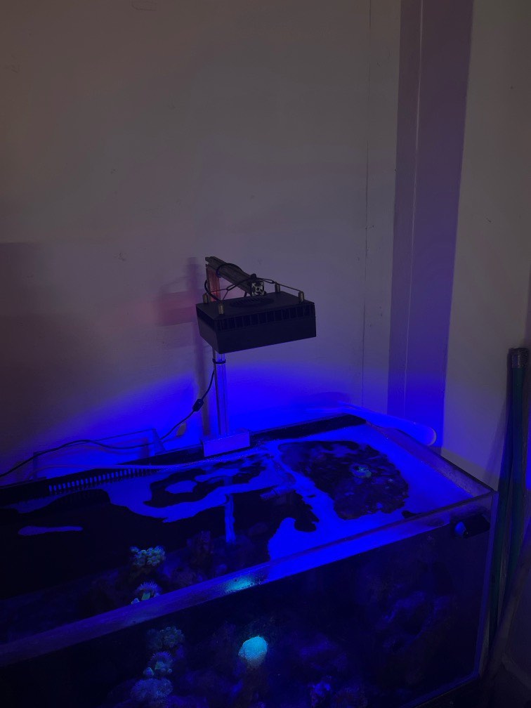 Redsea Reefled 90 Marine Reef Light, Pet Supplies, Homes & Other Pet Accessories on Carousell