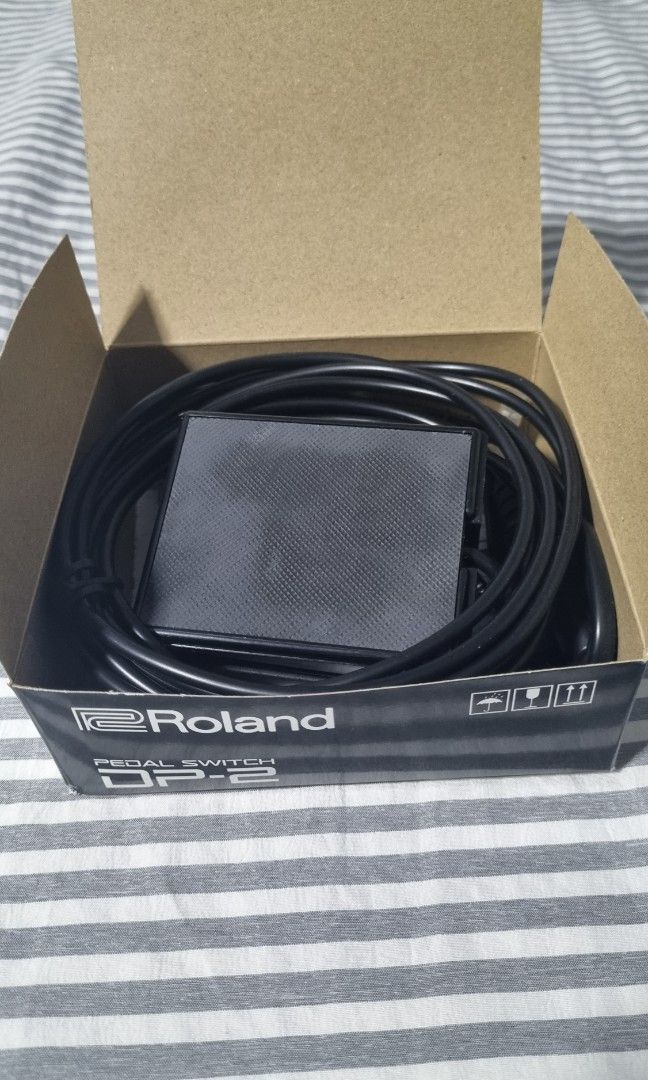 Roland DP-2 Foot Pedal, Hobbies & Toys, Music & Media, Musical ...