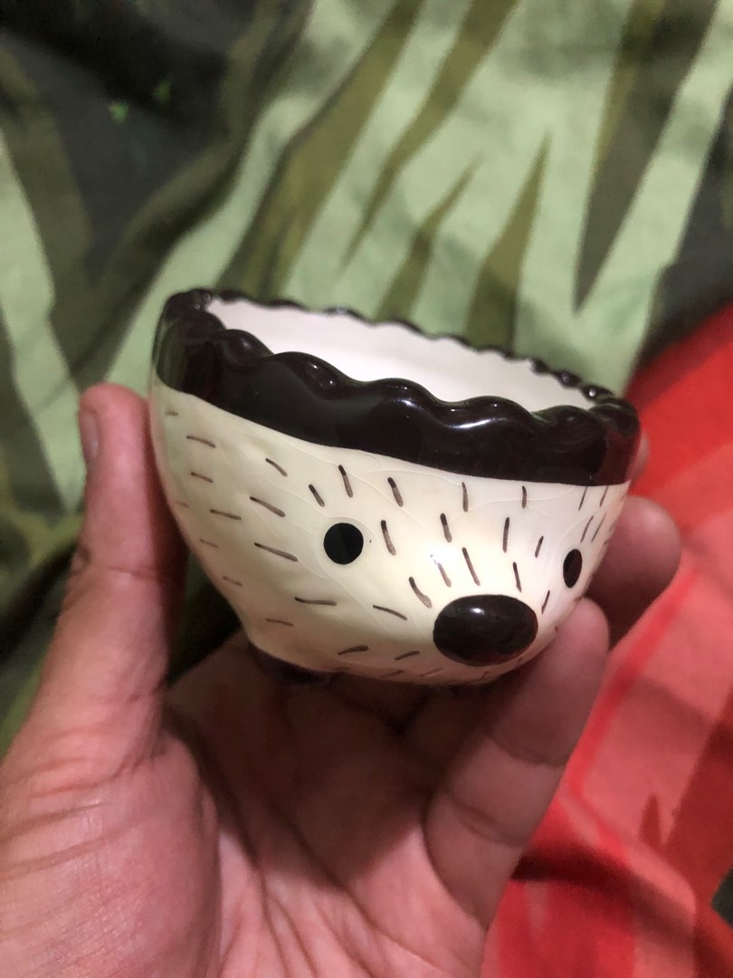 Small porcupine desk plant bowl, Hobbies & Toys, Stationary & Craft ...