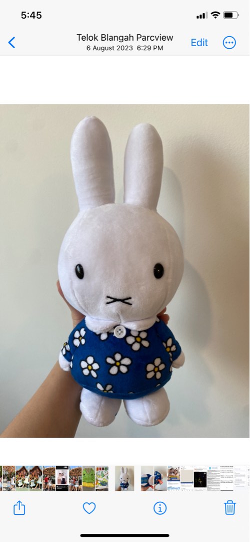 Brand new Miffy soft toy, Hobbies & Toys, Toys & Games on Carousell