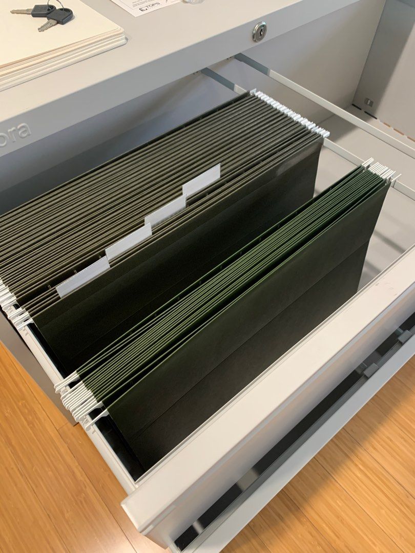 Decora Francel Lateral 2 Drawer Steel Filing Cabinet with Lock ...