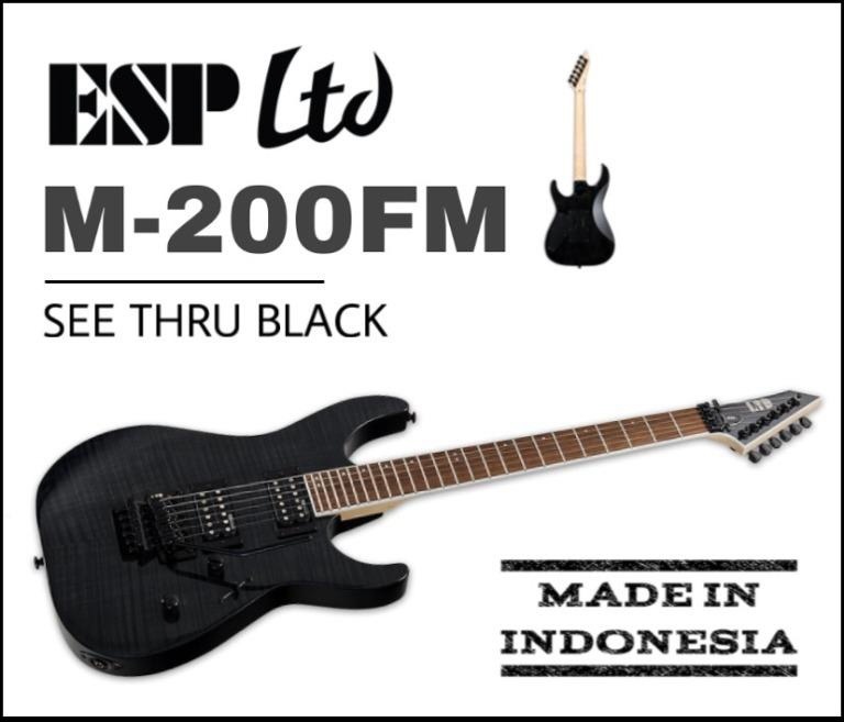 ESP LTD M-200FM Electric Guitar, See Thru Black, Hobbies & Toys, Music ...