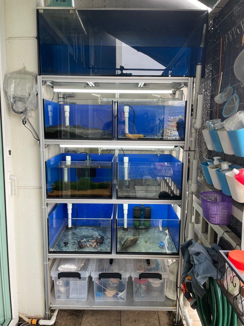 Fish Tanks & Rack (Semi Auto), Pet Supplies, Homes & Other Pet ...