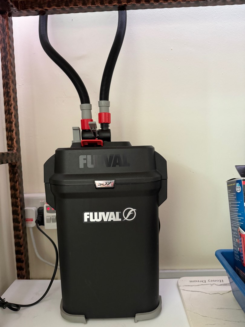 Fluval 307 performance canister filter, Pet Supplies, Homes & Other Pet ...
