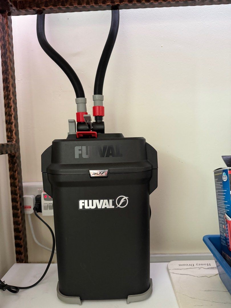 Fluval 307 performance canister filter, Pet Supplies, Homes & Other Pet ...