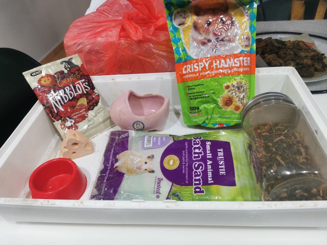 Hamster stuff, Pet Supplies, Homes & Other Pet Accessories on Carousell