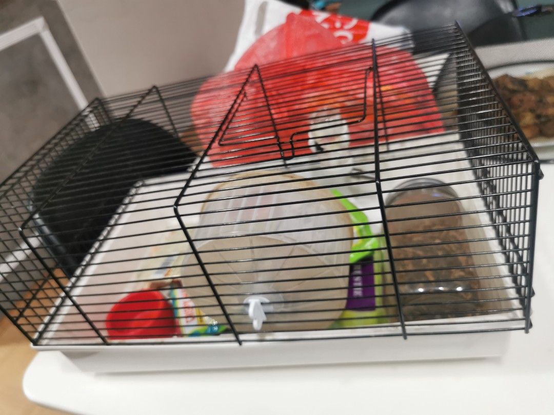 Hamster stuff, Pet Supplies, Homes & Other Pet Accessories on Carousell