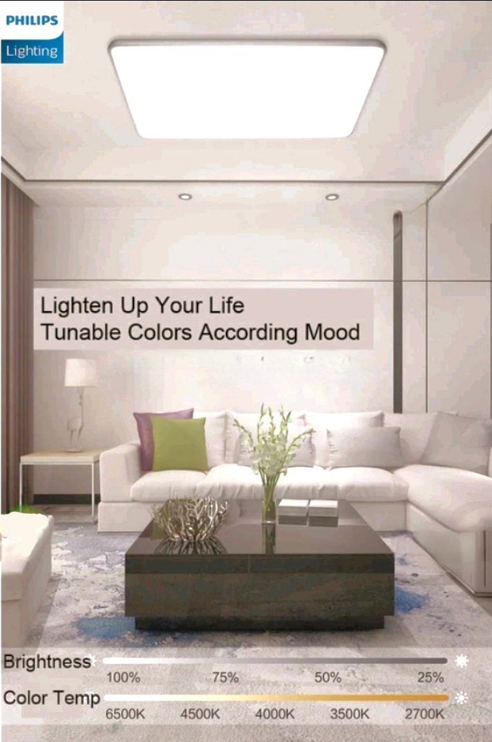 PHILIPS 55W LED Square Ceiling Light, Silver Rim, Remote, 2700-6500K ...