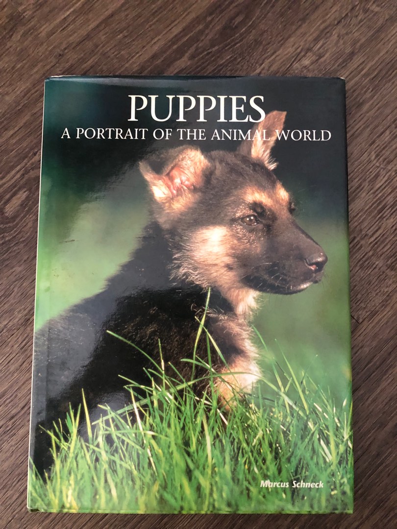 Puppies - A Portrait of the Animal World, Hobbies & Toys, Books ...