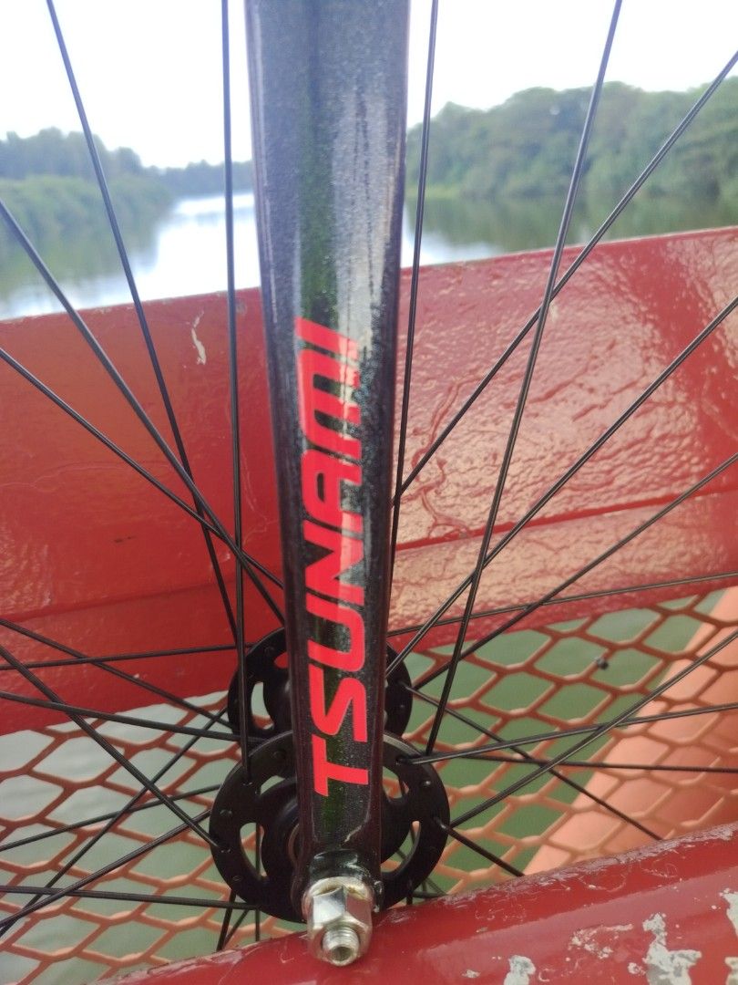 Tsunami black and pink colour way, Sports Equipment, Bicycles & Parts ...