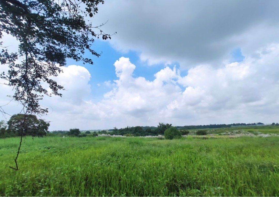 FARM LOT IN SAN MIGUEL BULACAN, Property, For Sale, Lot on Carousell