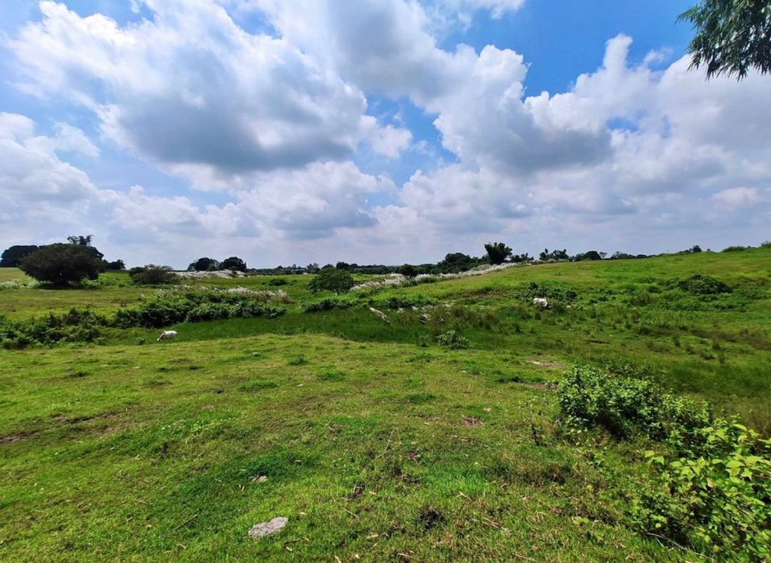 FARM LOT IN SAN MIGUEL BULACAN, Property, For Sale, Lot on Carousell