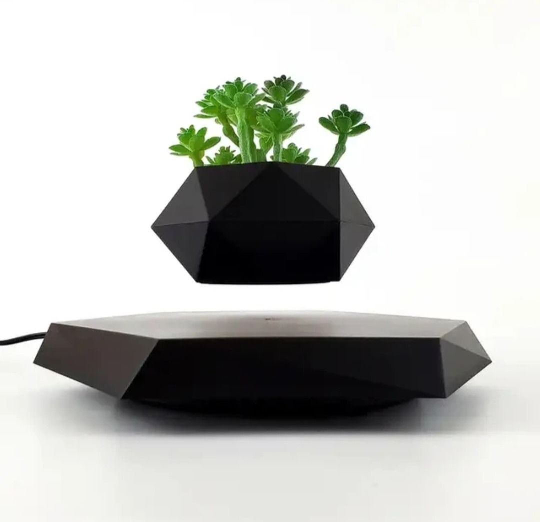 Floating Plant Pot for Succulents Air Bonsai Air Plants for Home Office ...