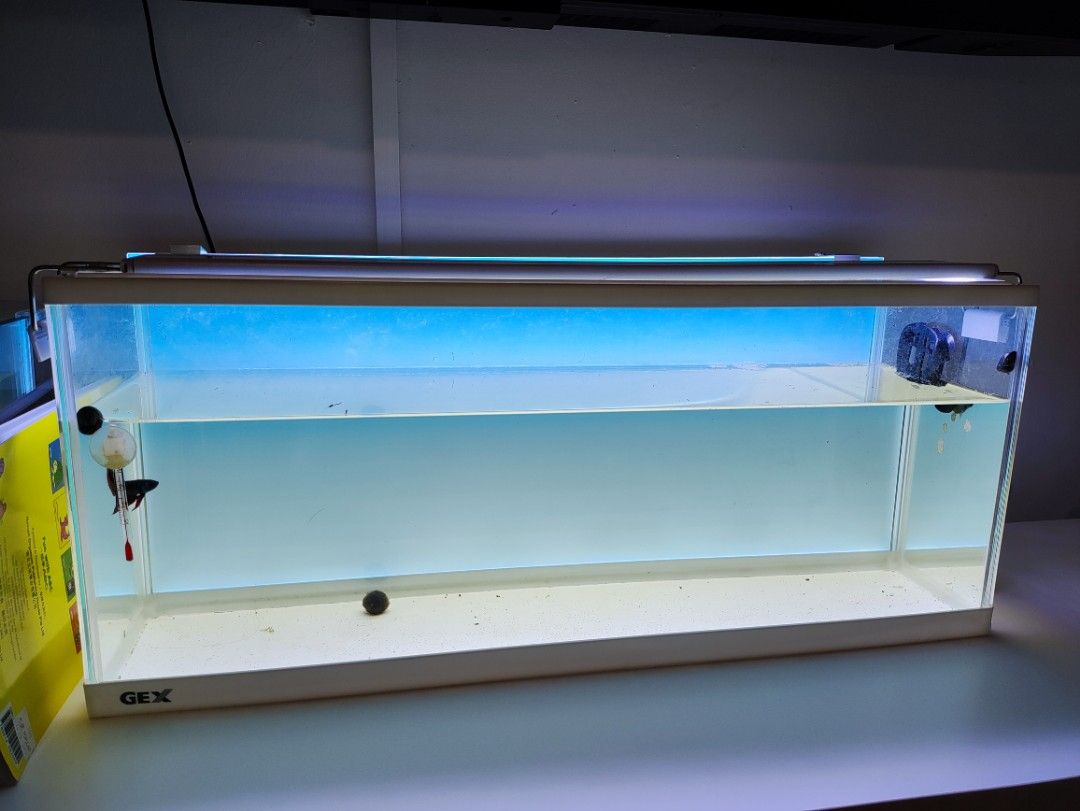 Gex Deskboy 600 with FOC accessories, Pet Supplies, Homes & Other Pet Accessories on Carousell