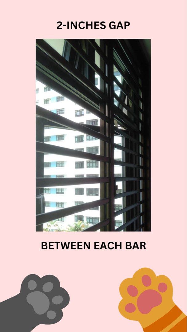 Pet friendly window grille/pet friendly/cat friendly window grille/cat ...