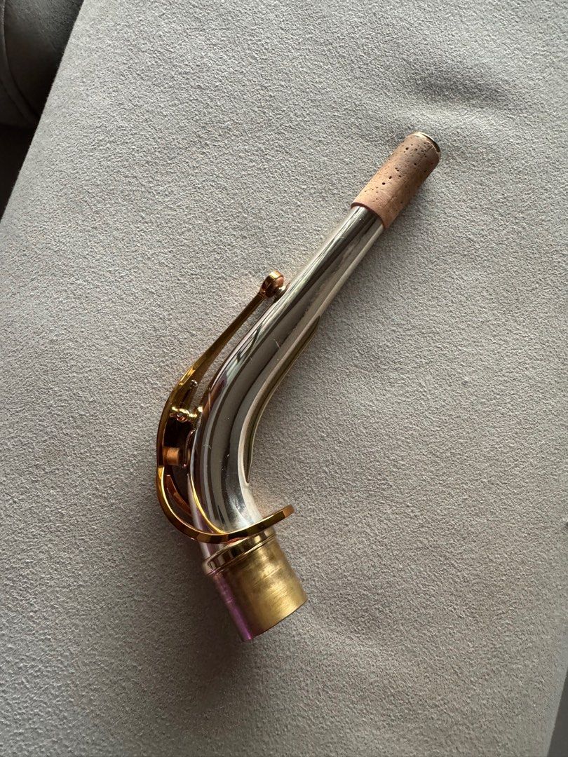 Selmer Alto Saxophone Solid Silver Neck, Hobbies & Toys, Music & Media ...