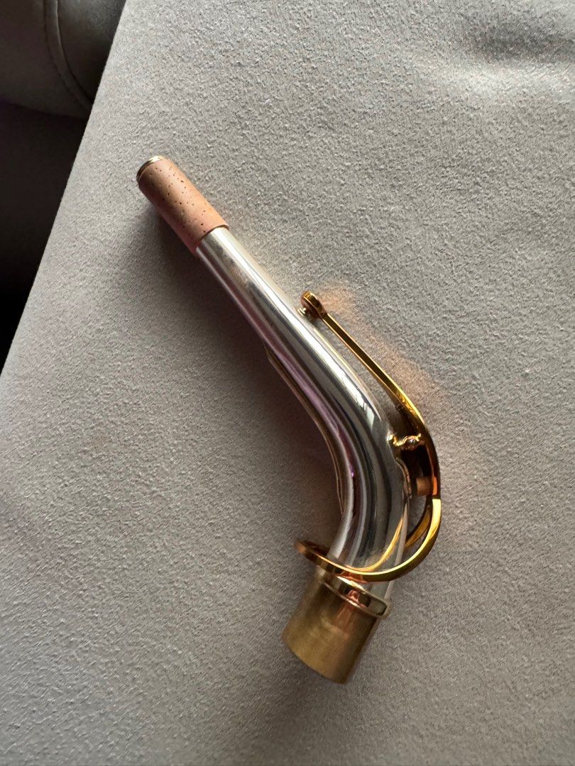 Selmer Alto Saxophone Solid Silver Neck, Hobbies & Toys, Music & Media ...