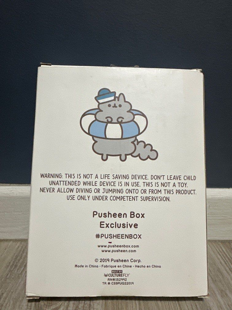 Pusheen Pool float, Hobbies & Toys, Toys & Games on Carousell