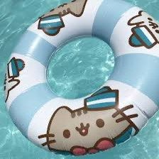 Pusheen Pool float, Hobbies & Toys, Toys & Games on Carousell