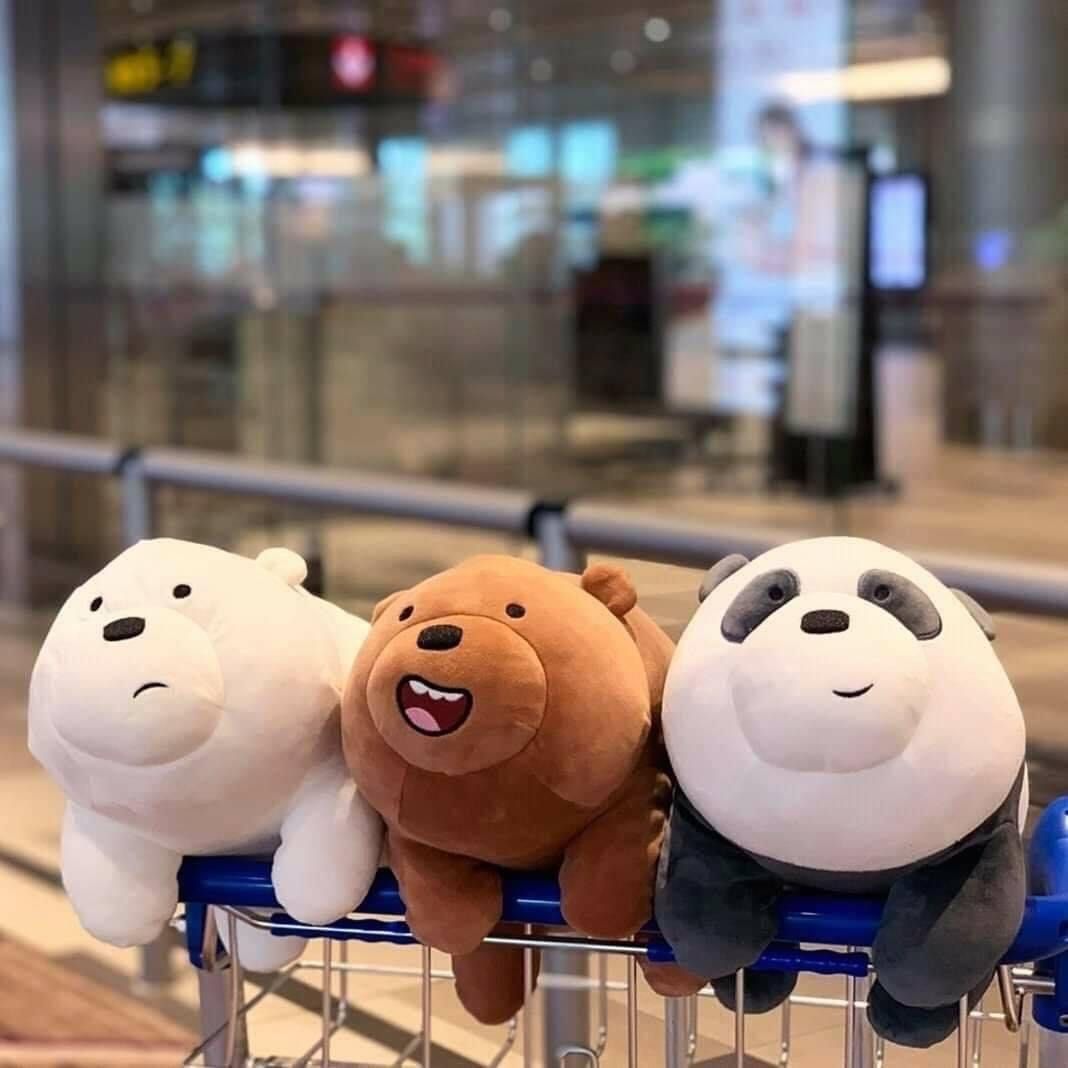 Standing We Bare Bears Plush Toy by Miniso, Hobbies & Toys, Toys ...