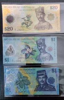 Rare Brunei $100 currency note, Hobbies & Toys, Memorabilia ...