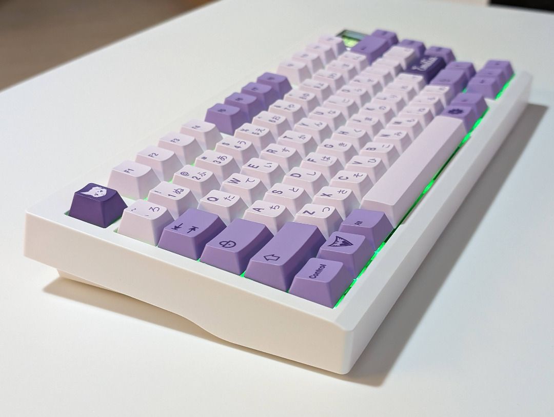 75% Custom Mechanical Keyboard (FrostWitch2401) - Fully Modded Tri Mode ...