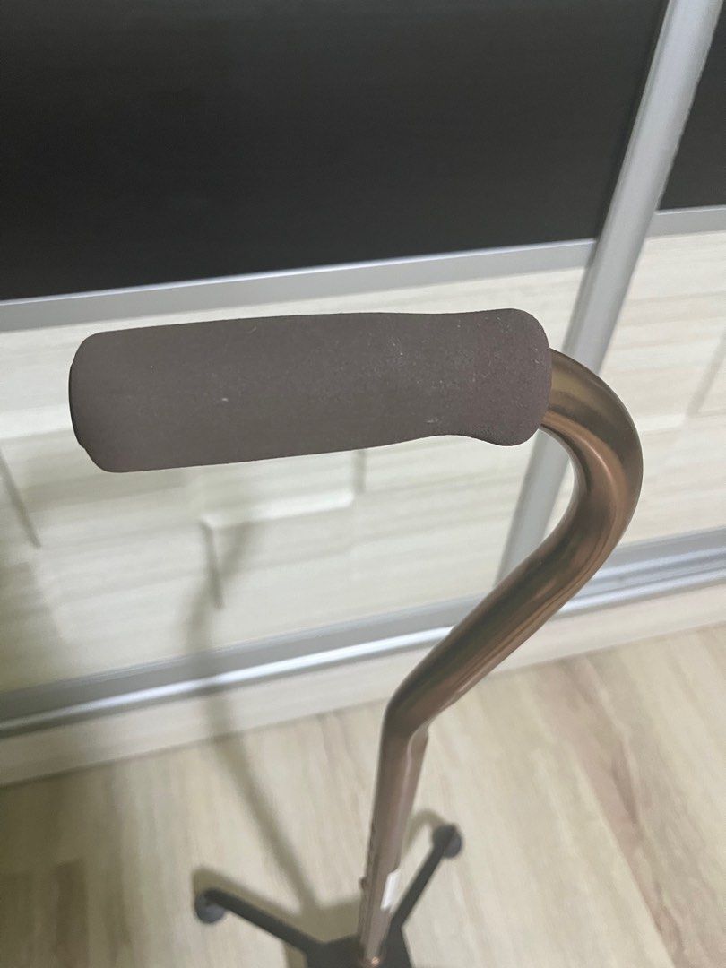 Bion Advance Walking Stick, Health & Nutrition, Assistive ...