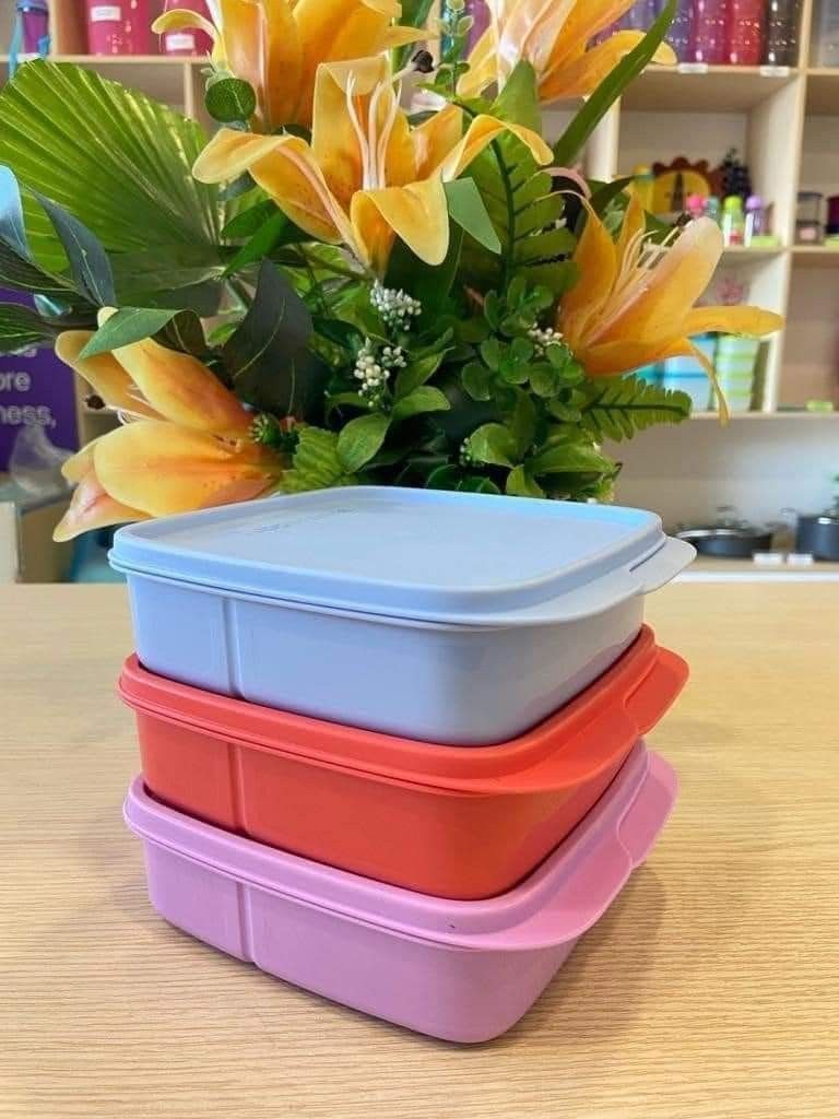 Bekas bekal 550ml tupperware, Furniture & Home Living, Kitchenware ...