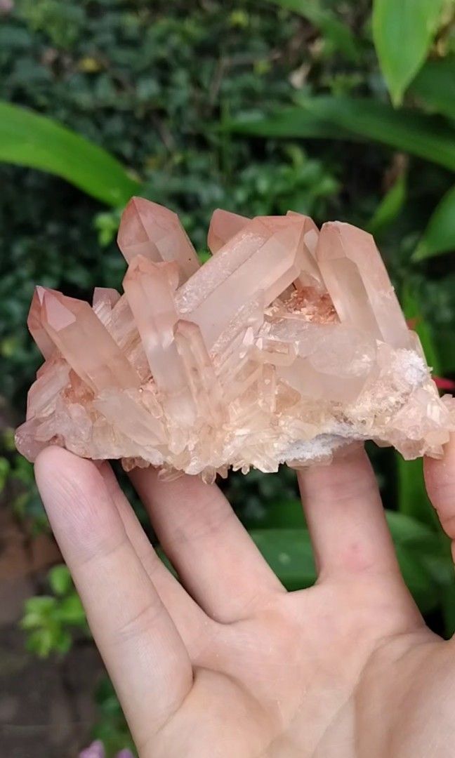 Crystal Popup Shop, Hobbies & Toys, Memorabilia & Collectibles, Vintage ...