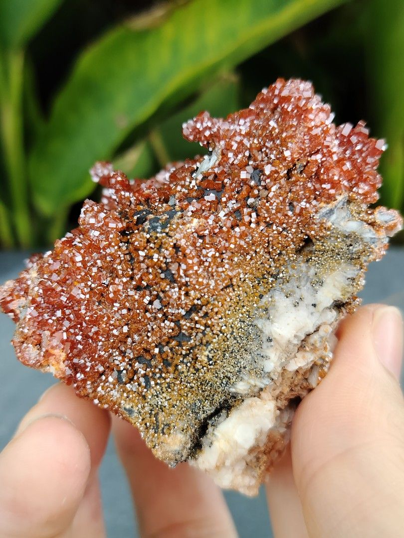 Crystal Popup Shop, Hobbies & Toys, Memorabilia & Collectibles, Vintage ...