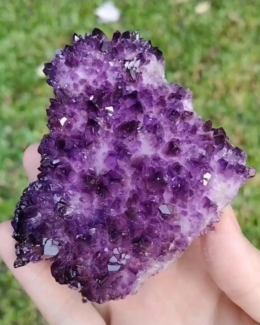 Crystal Popup Shop, Hobbies & Toys, Memorabilia & Collectibles, Vintage ...