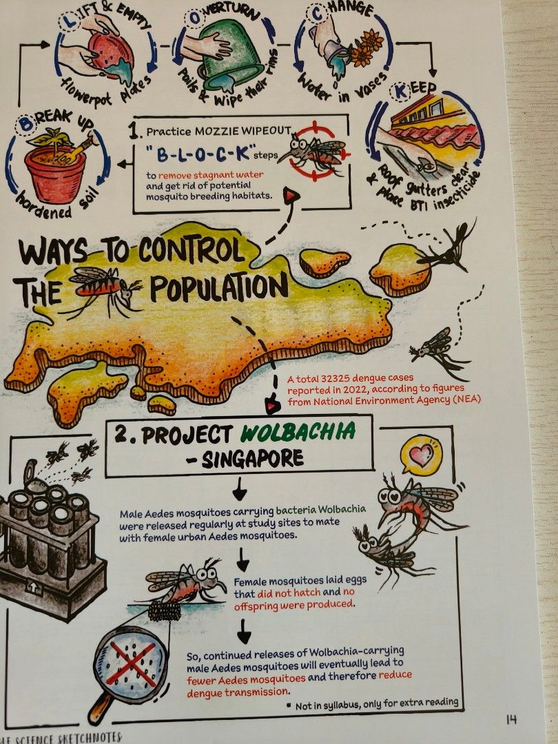 P6 PSLE Science Sketchnotes, science sketch notes, third edition ...