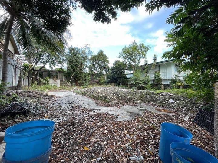Prime Lot Bel-air Makati City FOR SALE Exclusive Subdivision Big Cut ...