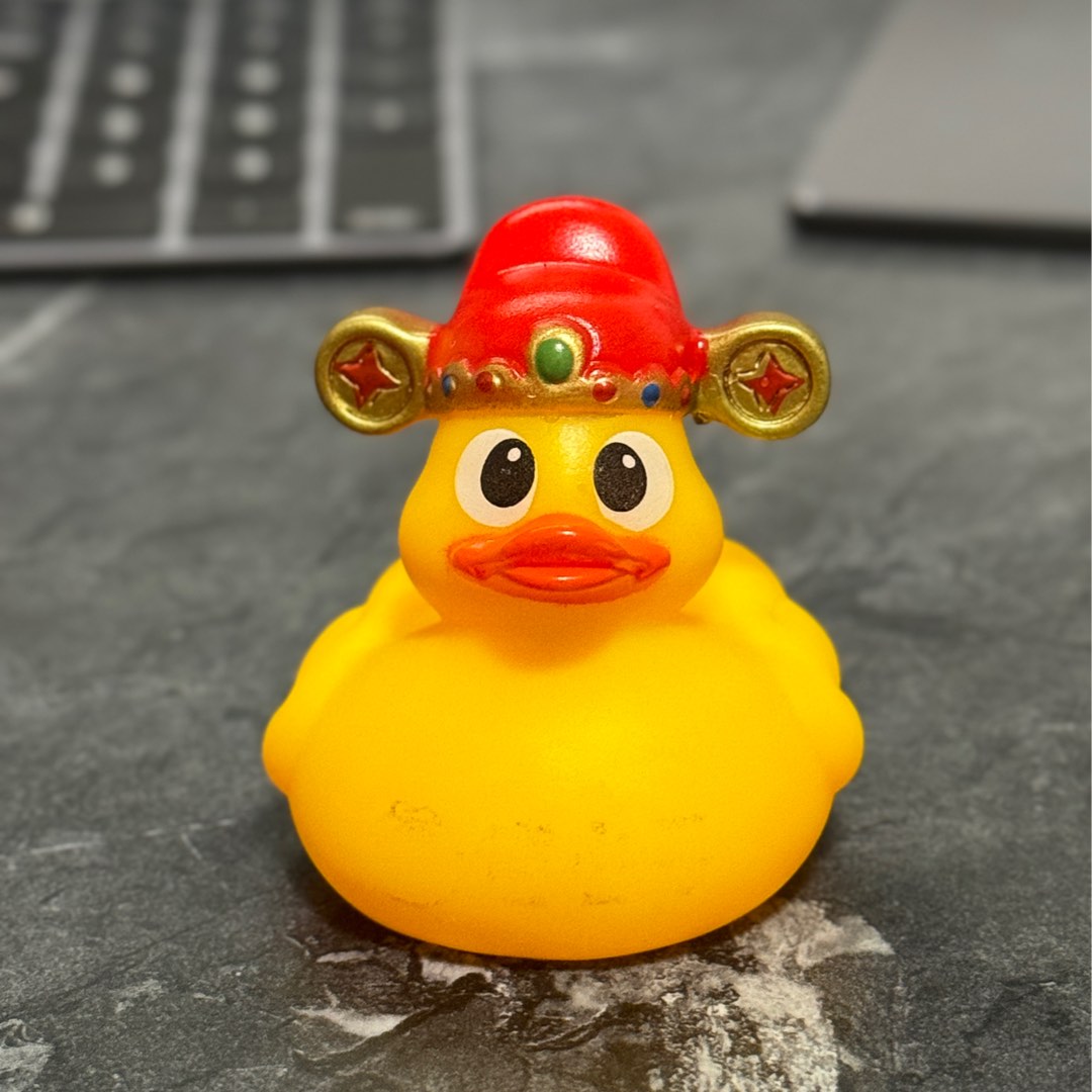 Cai Shen Duck (God of Fortune Duck), Hobbies & Toys, Toys & Games on ...