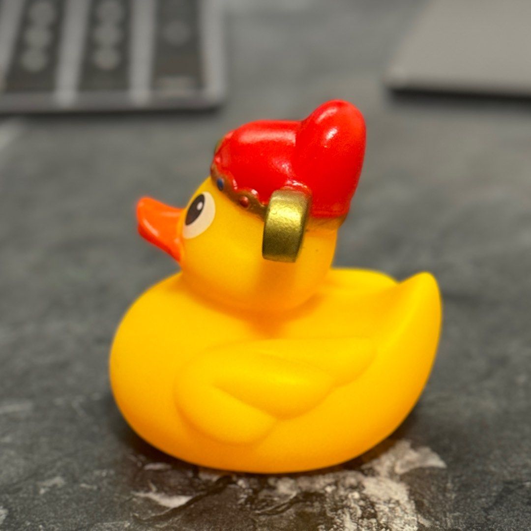 Cai Shen Duck (God of Fortune Duck), Hobbies & Toys, Toys & Games on ...