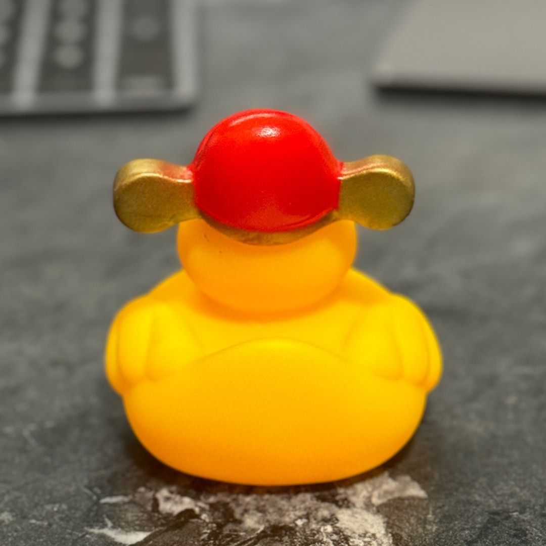 Cai Shen Duck (God of Fortune Duck), Hobbies & Toys, Toys & Games on ...